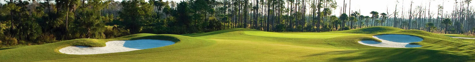 Details – The Club at Venetian Bay – New Smyrna Beach, FL